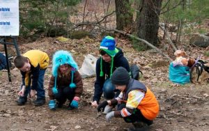 10 Simple Cub Scout Skits For Campfire Programs - Scoutles.com