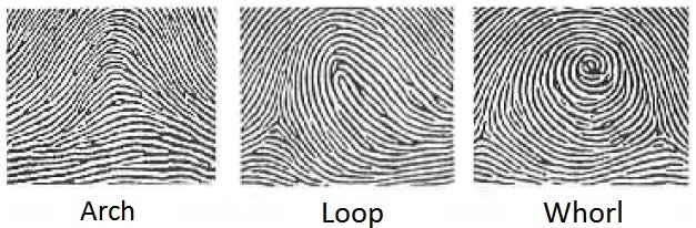 Fingerprinting Merit Badge Requirements Answers And Guides 