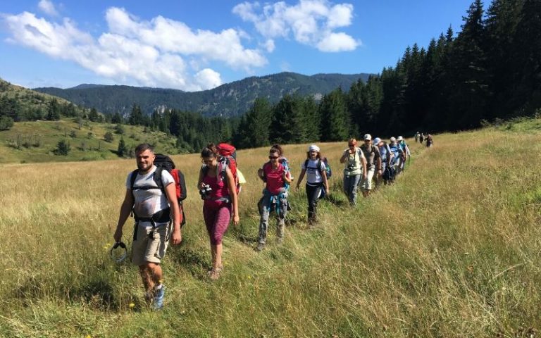 Hiking Merit Badge ⚜️ Requirements, Answers, And Guides - Scoutles.com