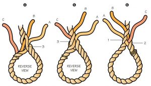 Pioneering Merit Badge ⚜️ Requirements And Guides - Scoutles.com