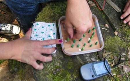 The Geocaching Merit Badge ⚜️ Requirements And Guide - Scoutles.com