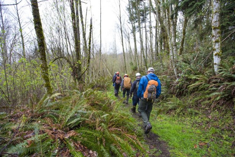 √ Backpacking Merit Badge ⚜️ Requirements And Guides - Scoutles.com