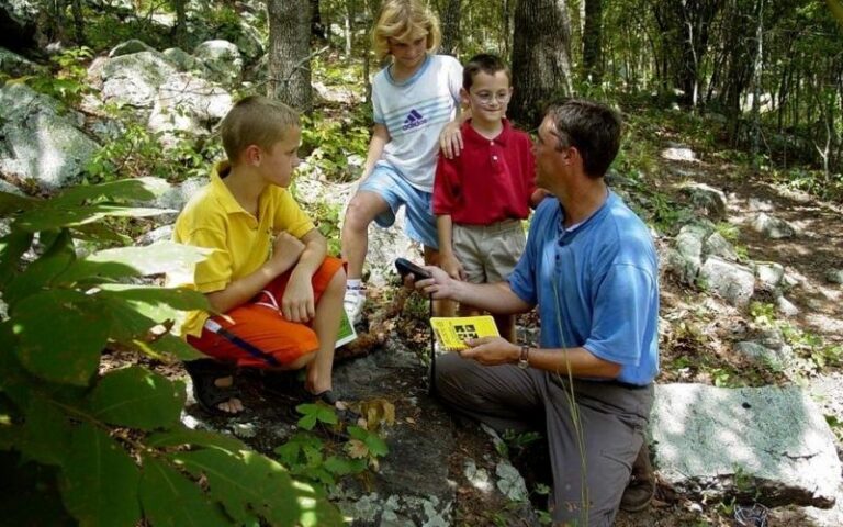 The Geocaching Merit Badge ⚜️ Requirements And Guide - Scoutles.com
