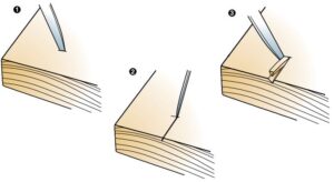 Wood Carving Merit Badge ⚜️ Requirements, Answers And Guides - Scoutles.com