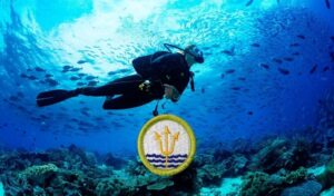 The Oceanography Merit Badge ⚜️ Requirement And Answers