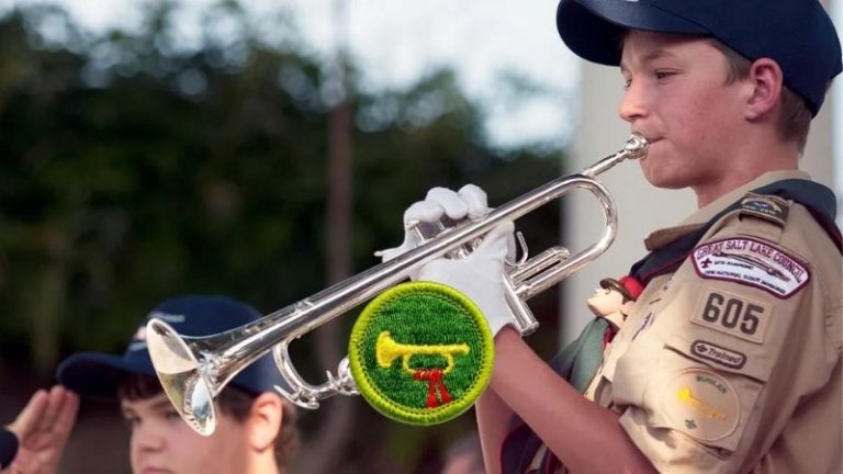 Bird Study Merit Badge ⚜️: Requirements And Guide - Scoutles.com