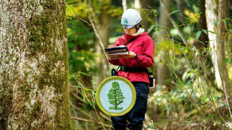 Aviation Merit Badge ⚜️ Requirements, Answers, And Guides - Scoutles.com