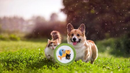 Pets Merit Badge ⚜️: Requirement And Answers - Scoutles.com