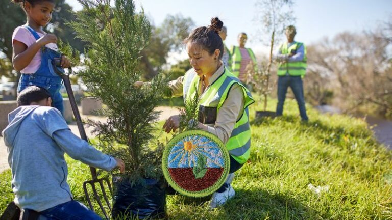 Plant Science Merit Badge ⚜️: Requirement And Answers - Scoutles.com