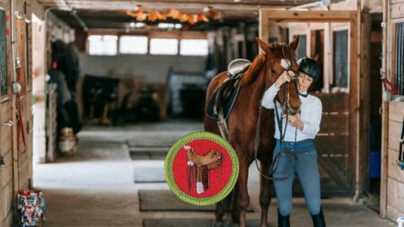 Horsemanship Merit Badge: Your Ultimate Guide In 2025 - Scoutles.com